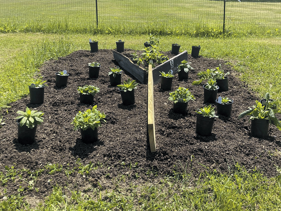 Grants Available For Environmental Projects Through Soil And Water ...